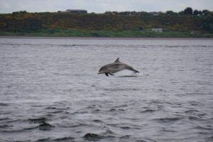 32 Things to do in Inverness Scotland - Our Complete Guide