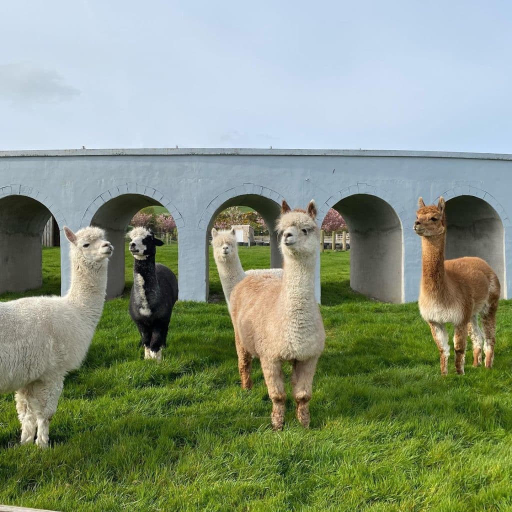 18 Things to do in Maybole Scotland - Our Complete Guide
