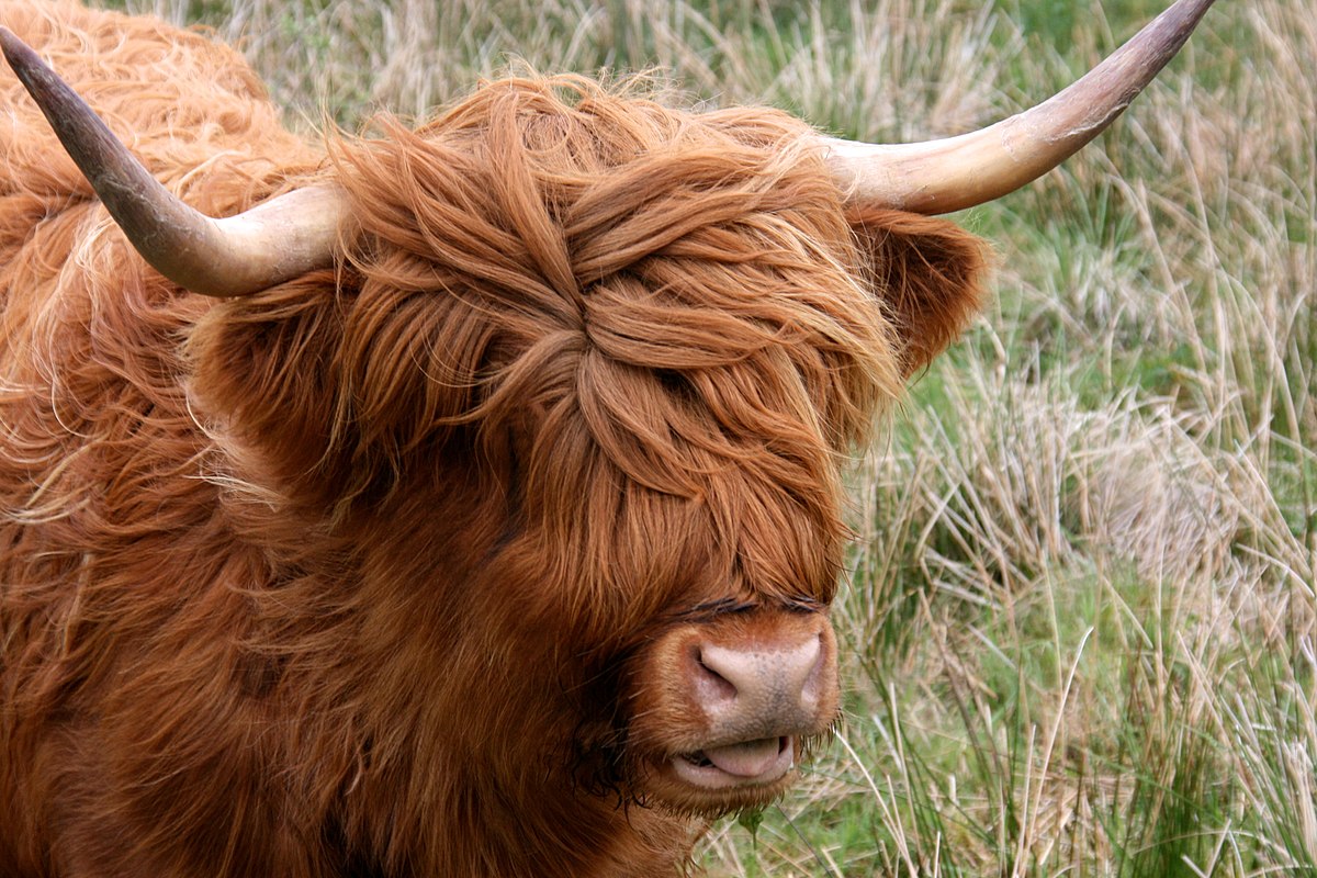 Isle of Arran Cheese Shops & Tastings - Our Complete Guide