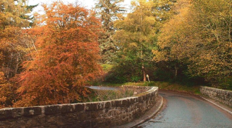 The Best Time of Year to Visit Scotland | My Voyage Scotland