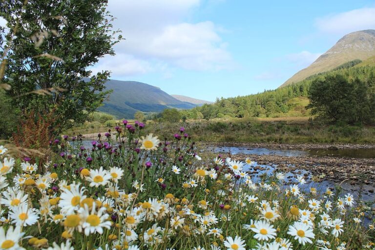 Scotland in April: Your Complete Guide | My Voyage Scotland