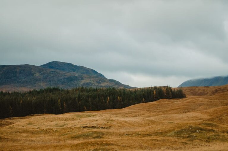 Scotland in August: Your Complete Guide | My Voyage Scotland